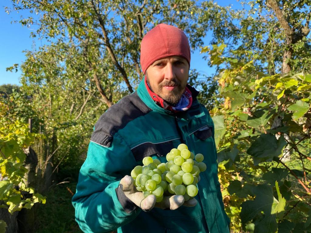 PŘEDNÁŠKA: ZDENĚK ŠPÍŠEK / ZPRACOVÁNÍ OVOCE A VÝROBA LIKÉRŮ | Město Adamov
